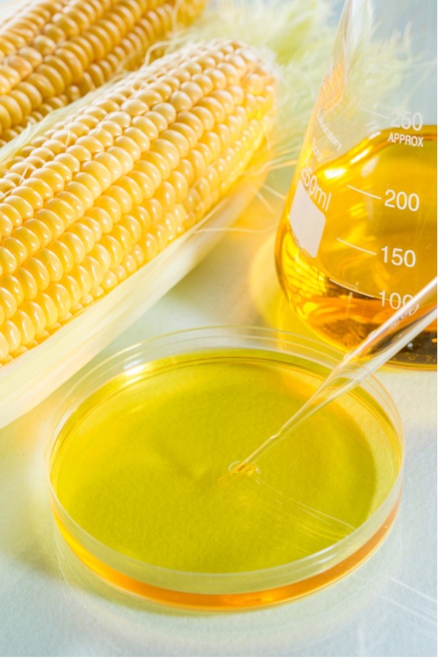 The Truth About High Fructose Corn Syrup - Renaissance Health Centre